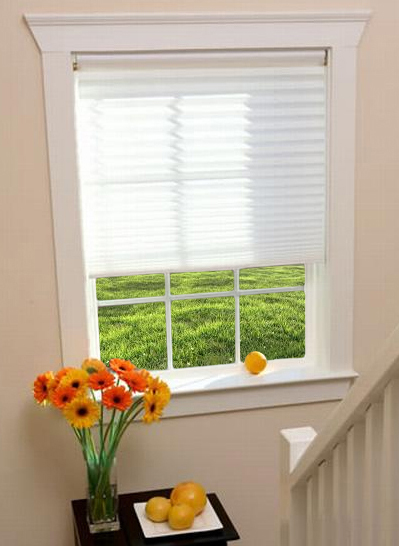 Cellular Blinds Light Filtering