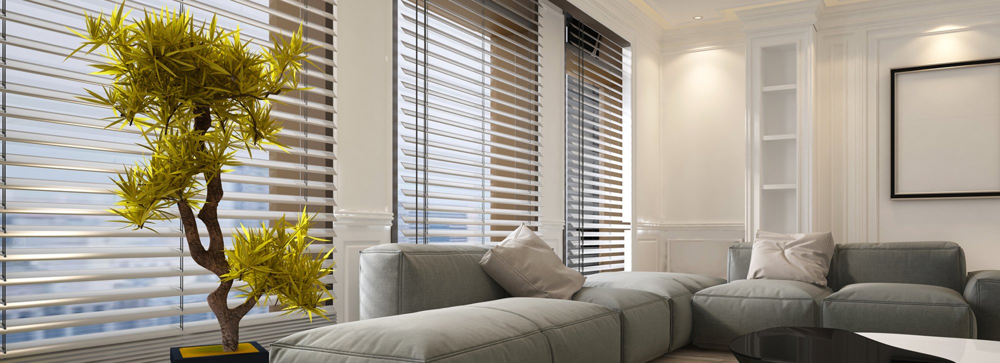 Australian Blinds, Awnings & Shutters Since 1988 | Apollo Blinds